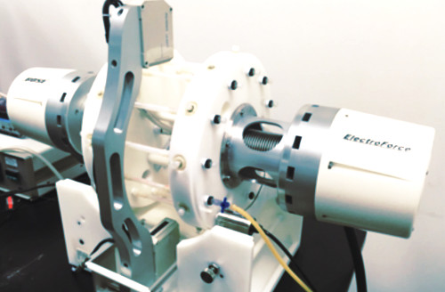 Clino Corporation - BMD Research & Design Aid